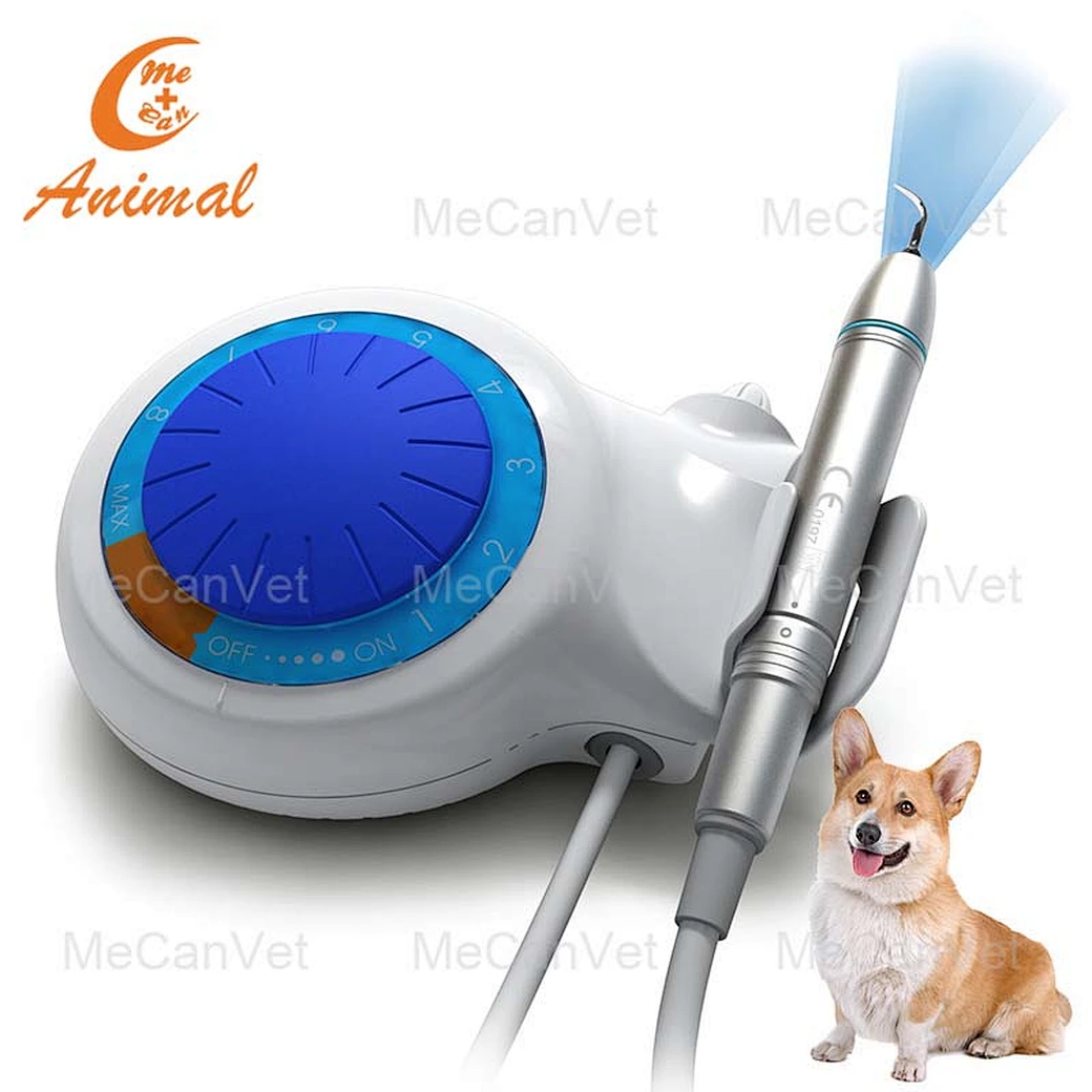 Veterinary Ultrasonic Scaler | Dental Pets
